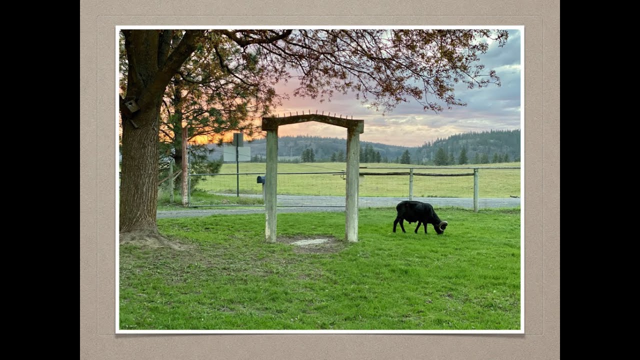 River's Wish 2021 Year in Review SD 480p - YouTube