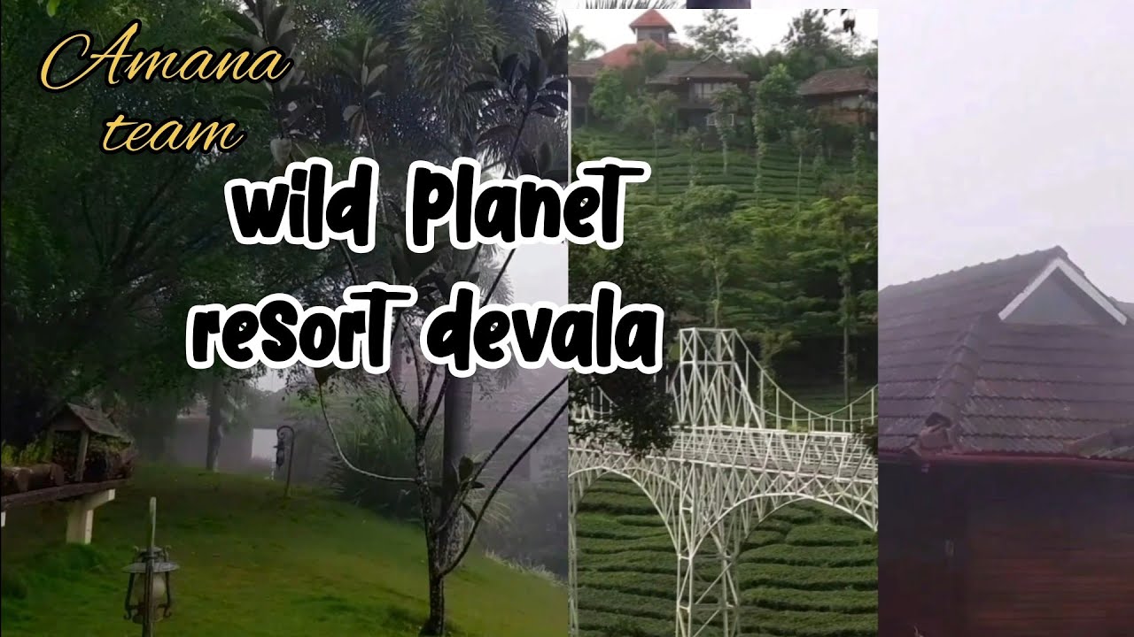 wild planet jungle resort - YouTube