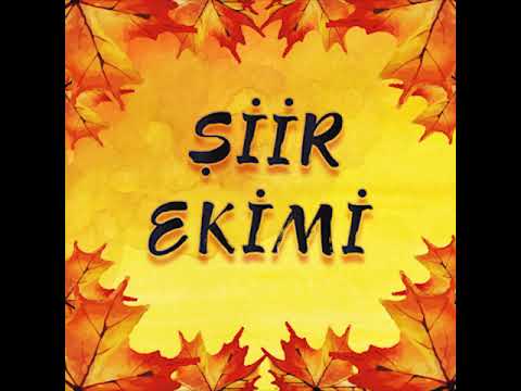 Göğe Bakma Durağı - Turgut Uyar