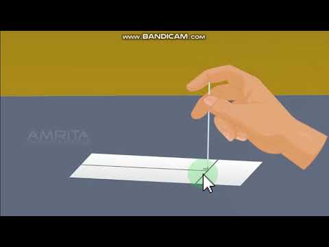 Chromatography | Paper Chromatography | ANIMATION | Part 03 - YouTube