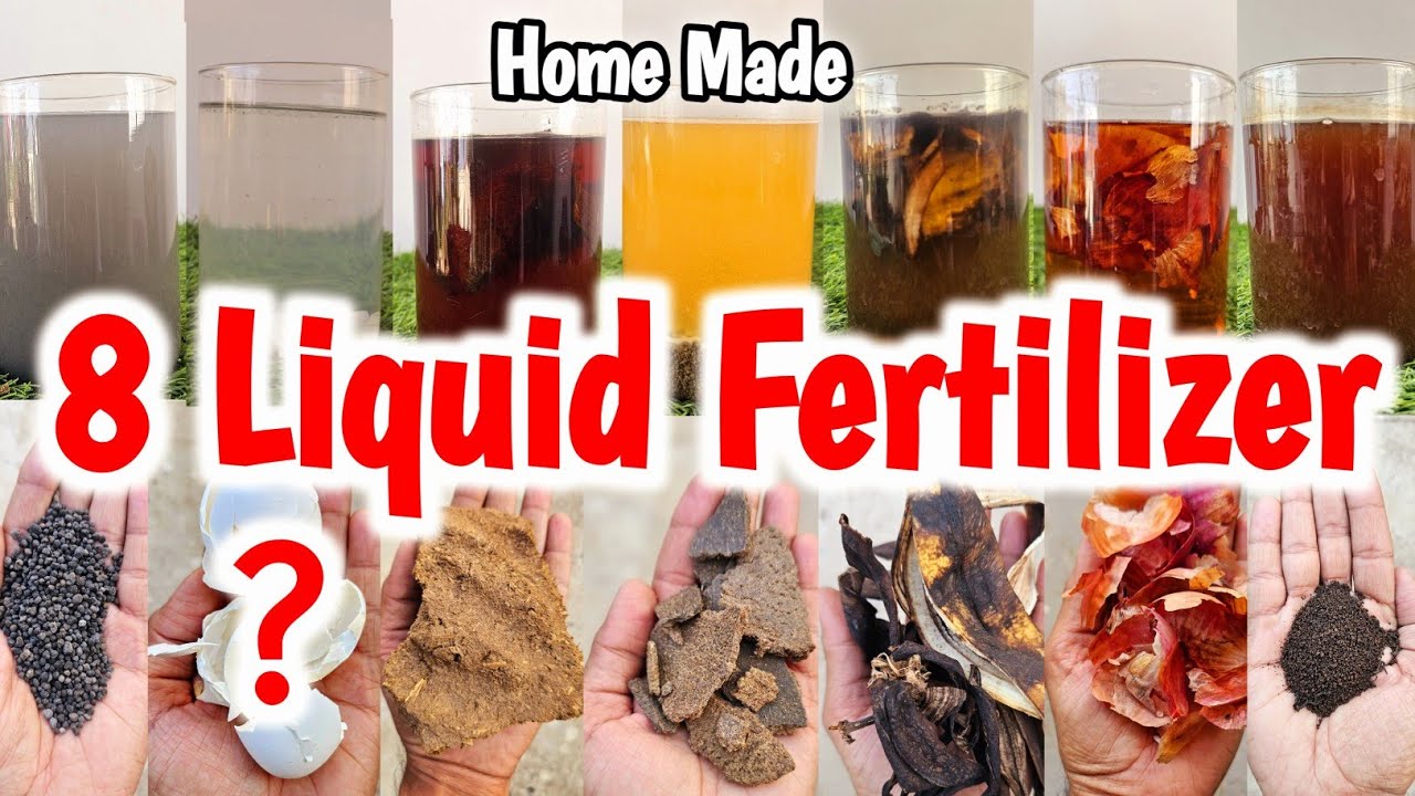 8 Liquid Fertilizer for Plants | Natural Home Made Fertilizer For ...