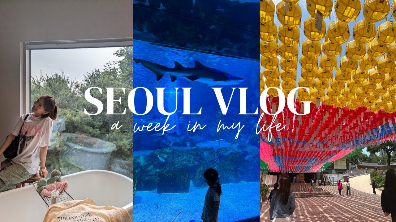 Life in Seoul: Bongeunsa Temple, Omakase, Yongmasan, Coex Aquarium ...