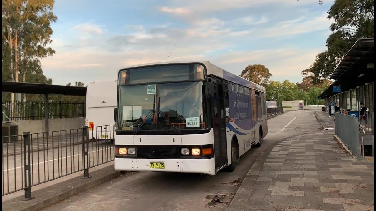 2190ST Transport Vlog 255: Gordon Bus Spotting with Trackwork Buses ...