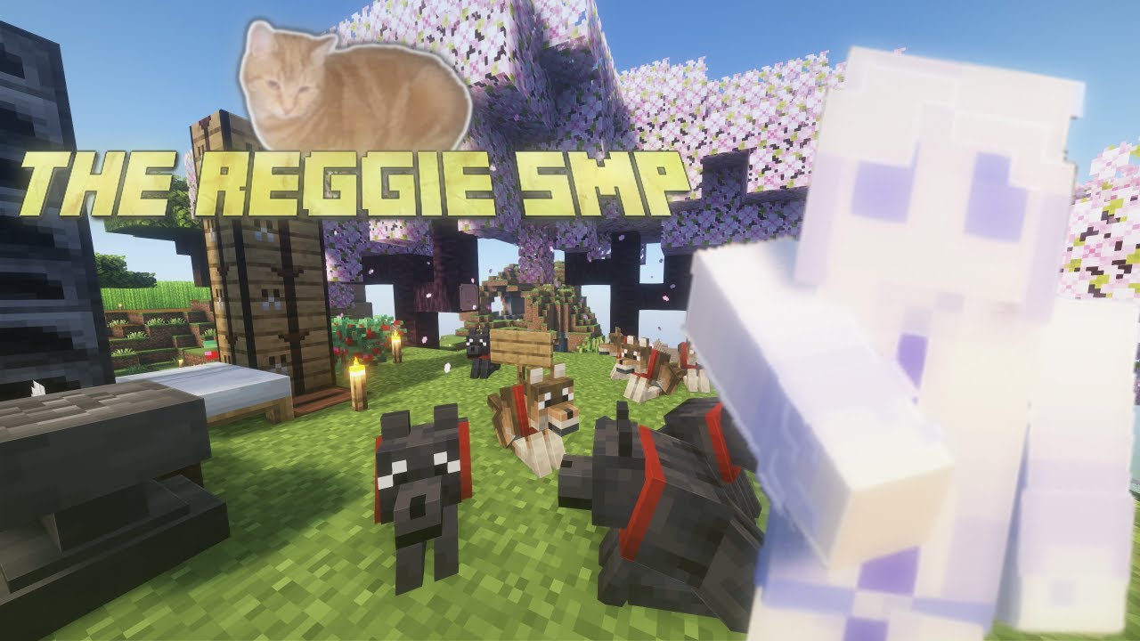 REGGIE SMP STREAM 1 - YouTube
