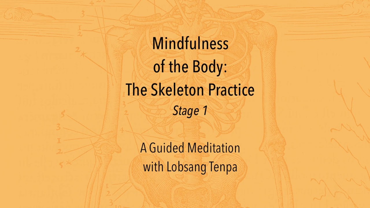 Mindfulness of the Body: The Skeleton Meditation (Stage 1) - YouTube