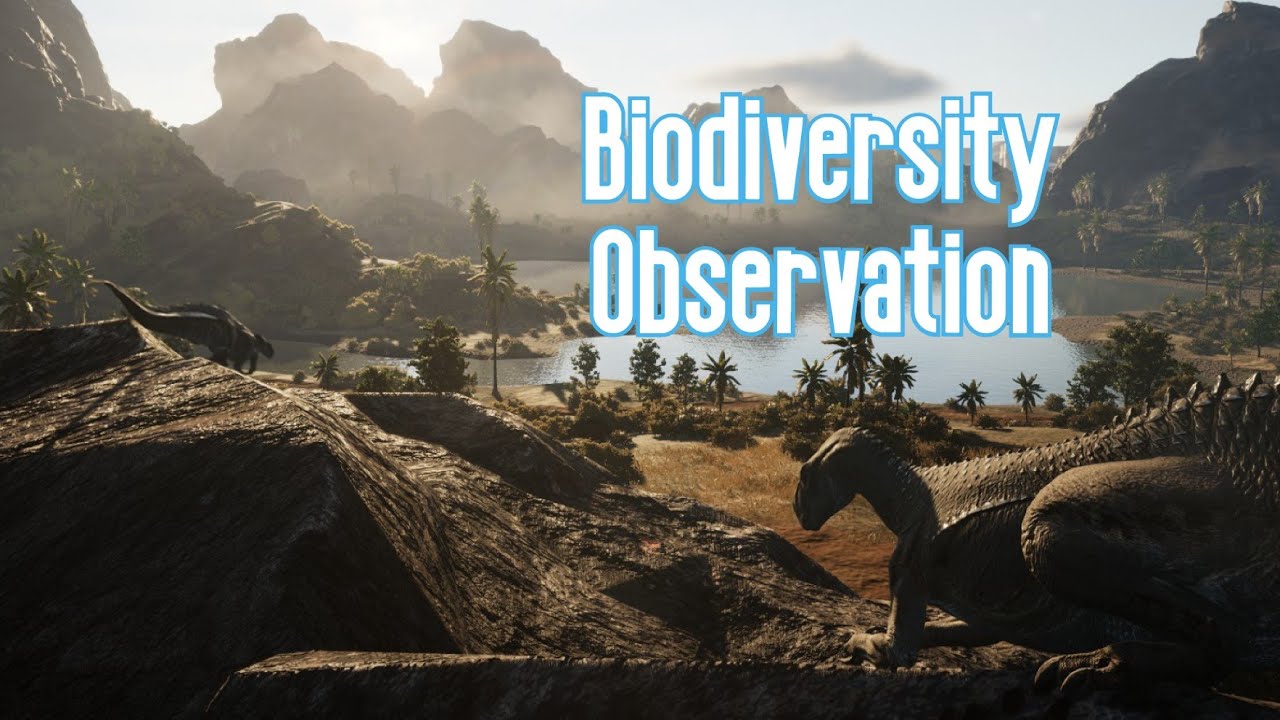 🔴LIVE - Biodiversity observation stream. Life finds a way... - YouTube