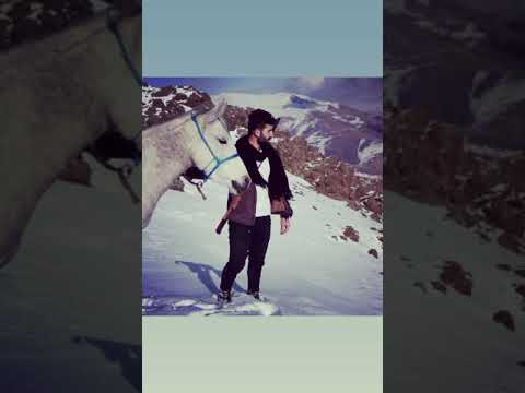 2019 süper kılipler