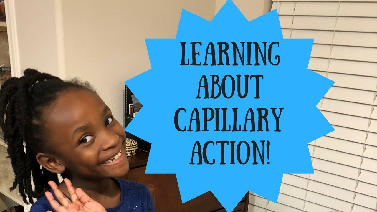 How to Easy Homeschool Science: Capillary Action - YouTube