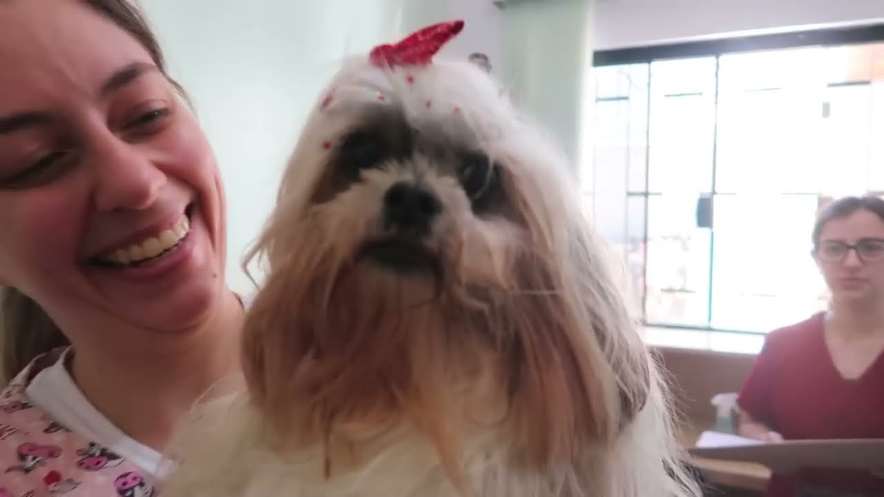 NASCEU OS FILHOTINHOS DA KEITY ! - YouTube