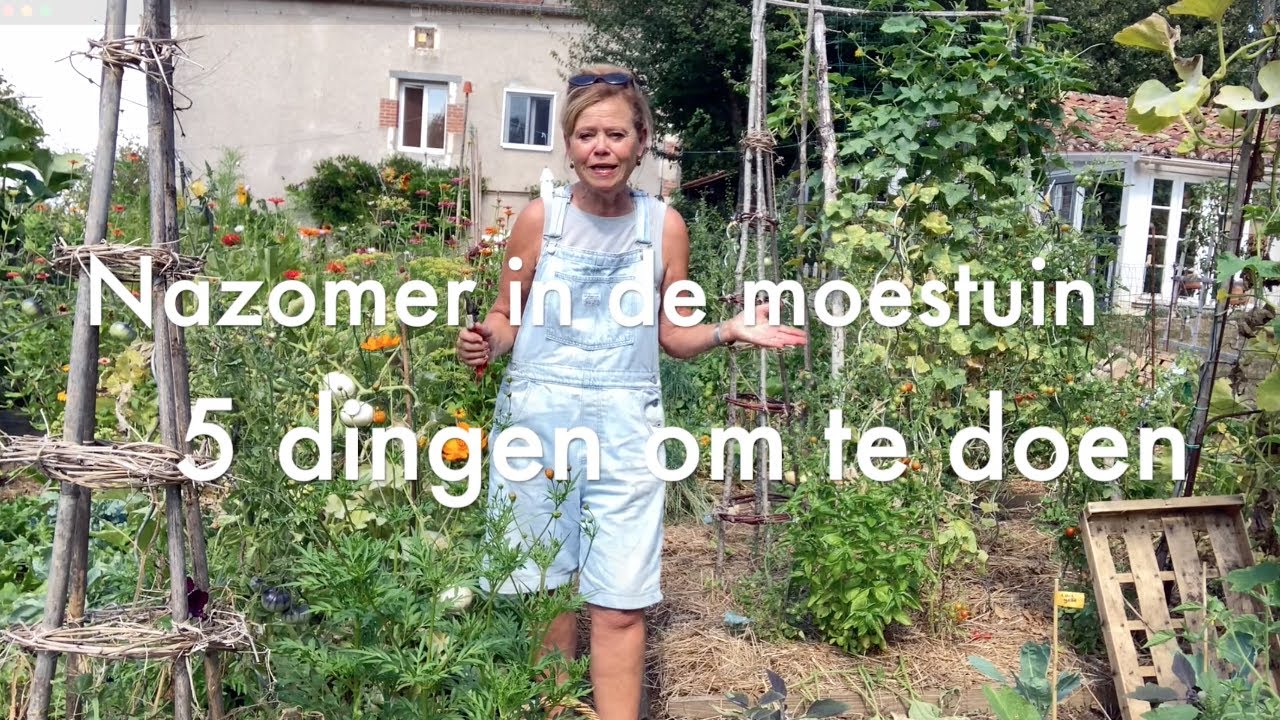 Ini's Moestuin #114 - Nazomer in de moestuin: 5 dingen je de komende weken nog kunt doen. - YouTube