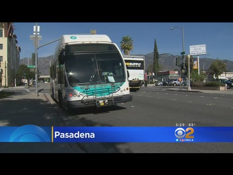 Bus Driver Fired Over Adjusting Rear View Mirror