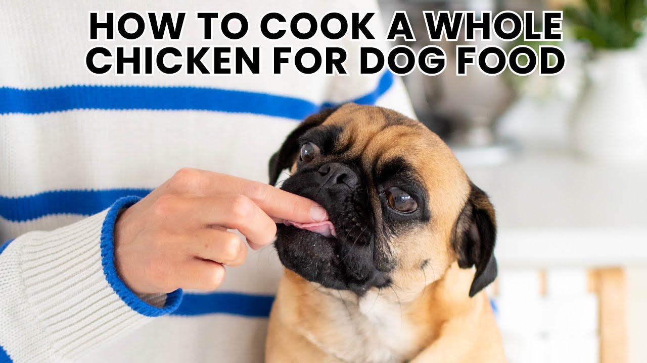 DIY Organic Dog Food: Cooking Whole Chicken for Dogs – Nutritious, Easy ...