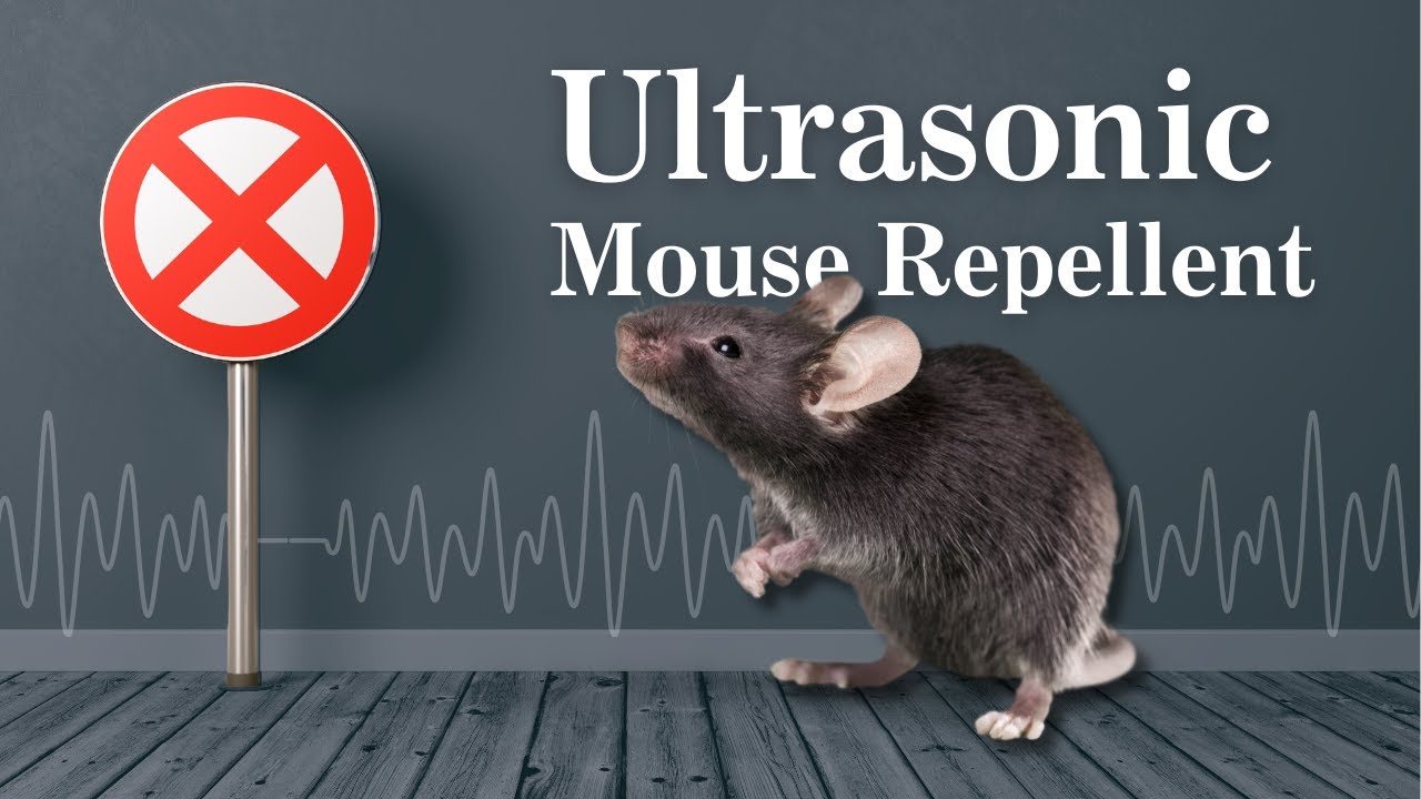 [4h] Ultra Powerful Ultrasonic Mouse Repellent Sound – Keep Mice Away ...