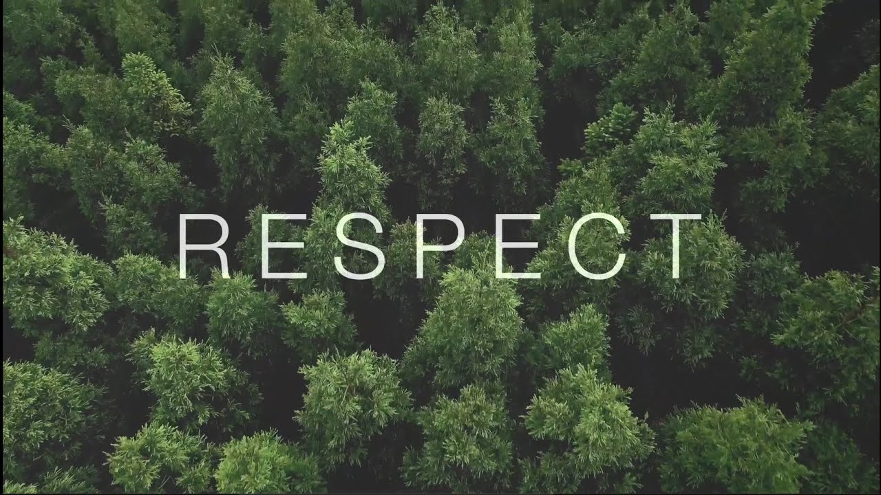 TREE : Trade Respect Environment and People - YouTube