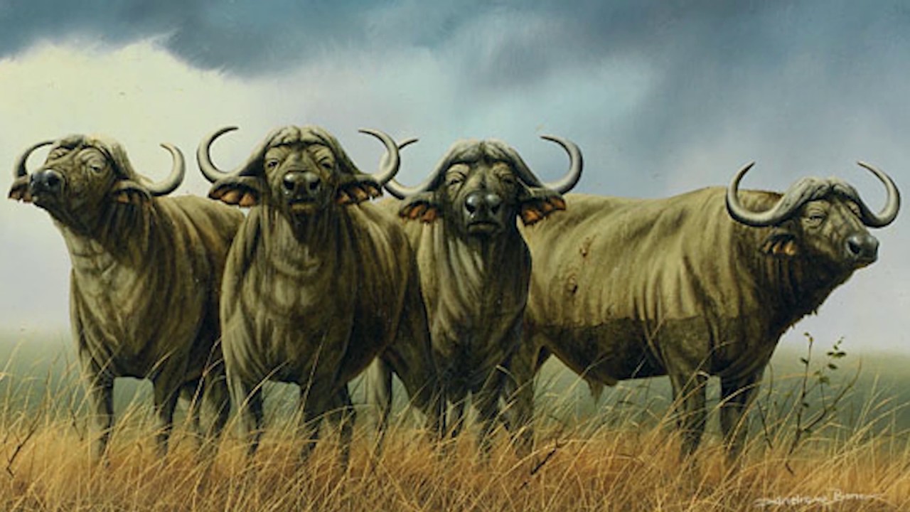 Self Portrait: Andrew Bone - YouTube