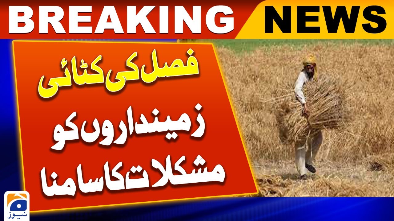 Problems farmers facing in harvesting crops - YouTube