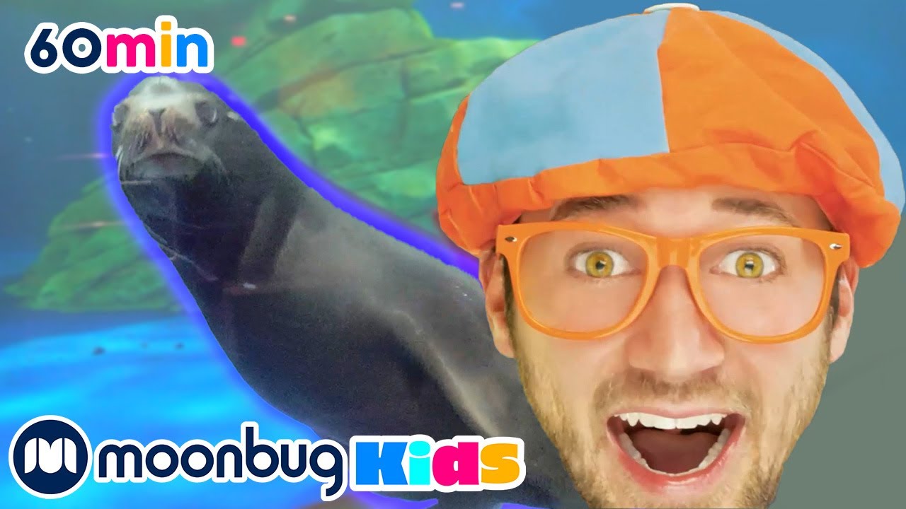 Learn About Sea Animals | Blippi | Learning Videos For Kids | Education ...