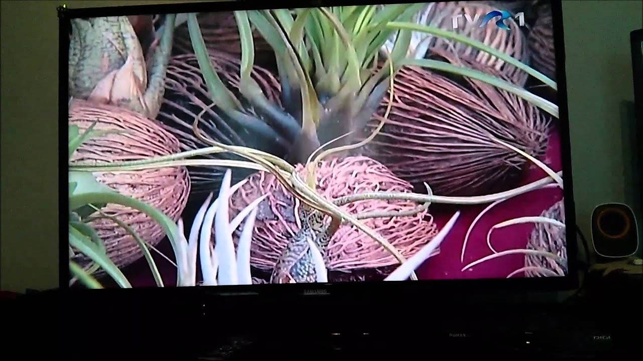 Prima instalare Decodor Humax SD RCS RDS - YouTube