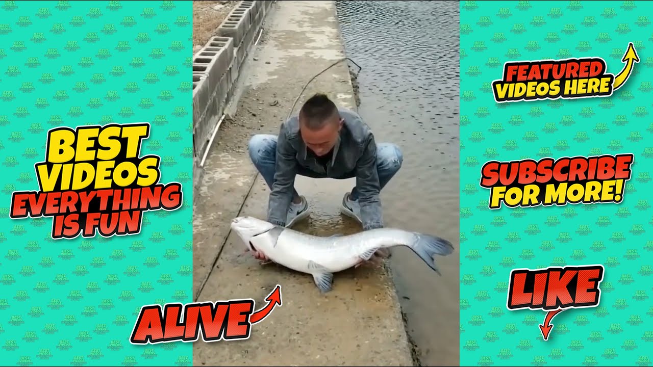 Oddly Satisfying Video That Will Relax & Calm You Before Sleep #1 - YouTube