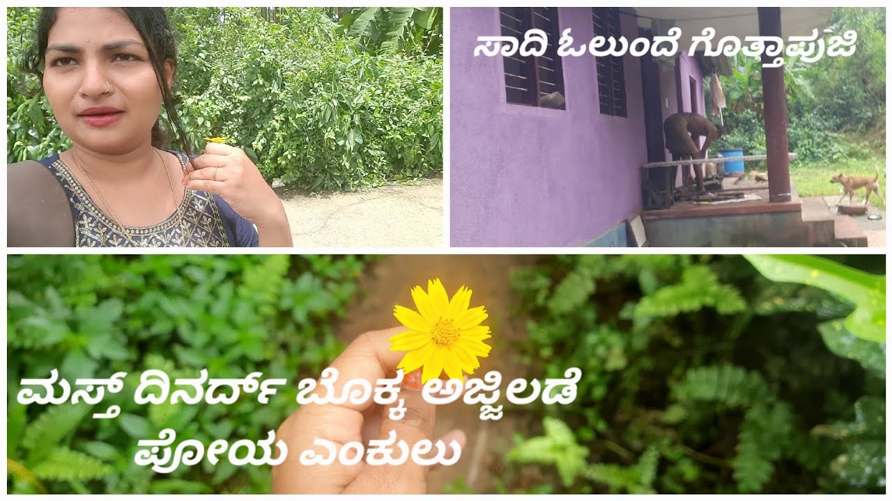 sumar dinardh bokka ajjillag poini🤩🥰ammanottugu long tour ♥️ jolly🥳🥳 ...