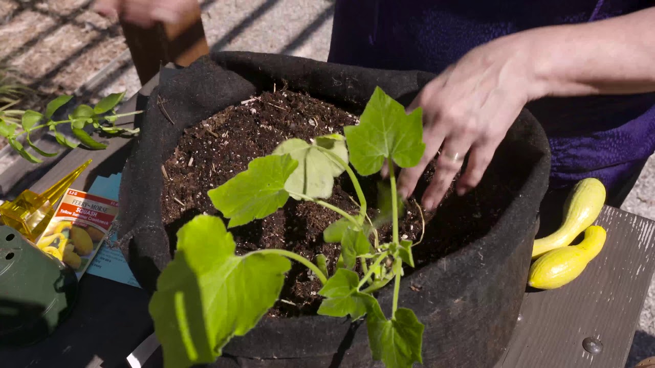 Plant-it-Earth with SmartPots - YouTube