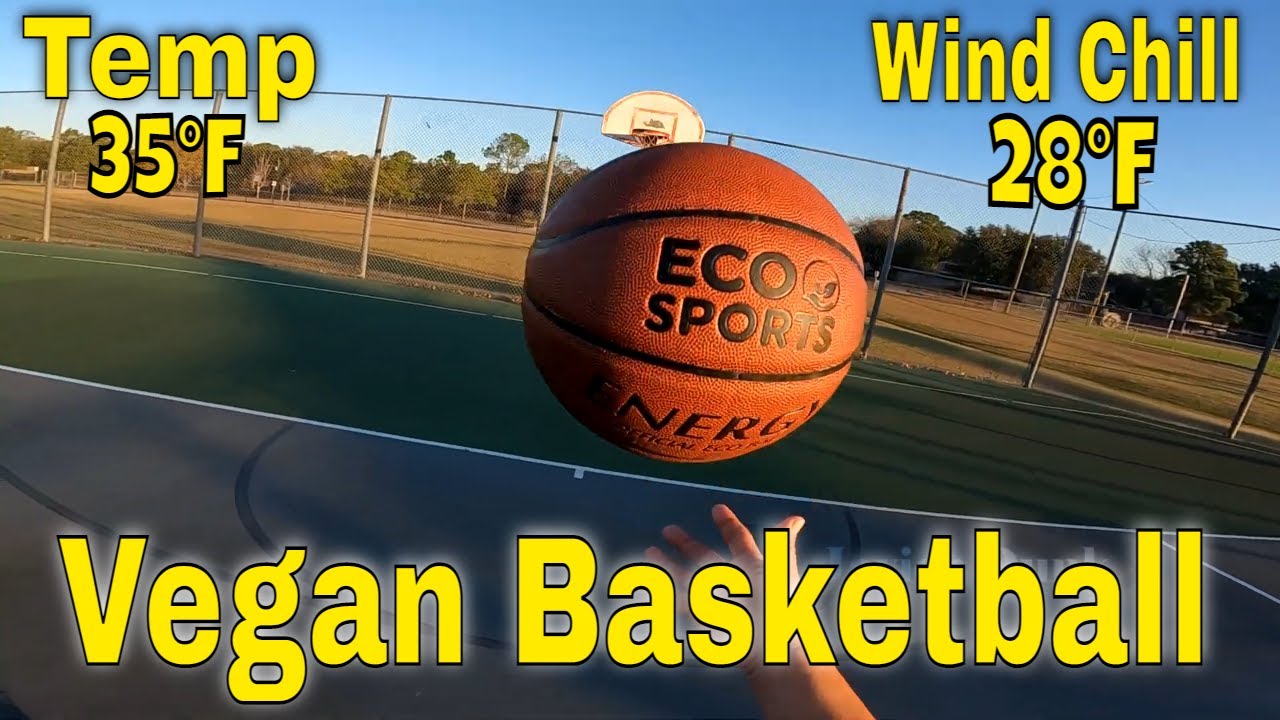 🏀 ECO Sports-ECO Friendly and Vegan Indoor/ Outdoor Basketball ...