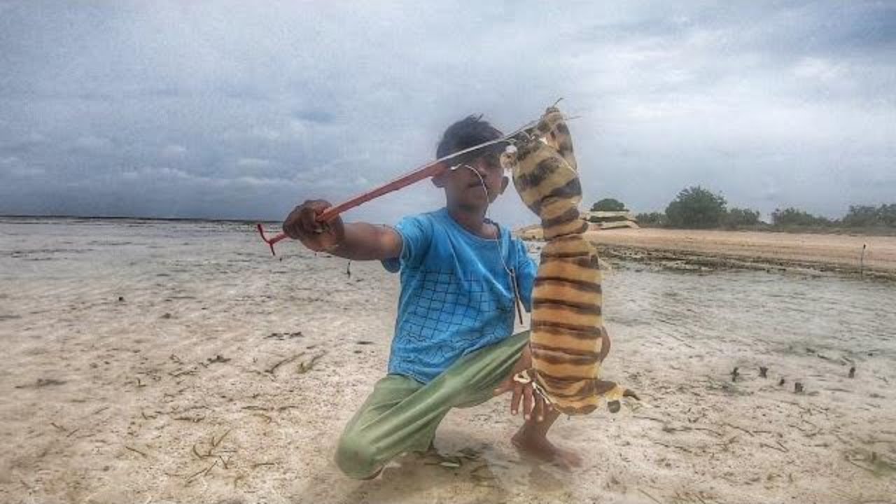 Massive mantis shrimp in madura remote island catch n cook - YouTube