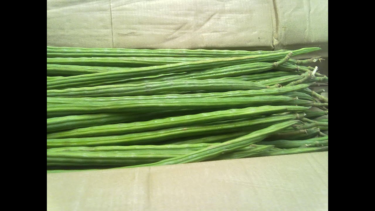 Murunga | INDIAN RECIPES | MOST POPULAR RECIPES | EASY TO LEARN - YouTube