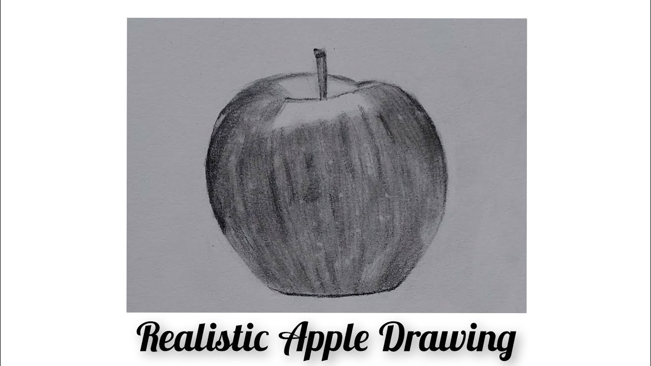 How to Draw a Realistic Apple with Pencil | Apple Drawing | Realistic ...