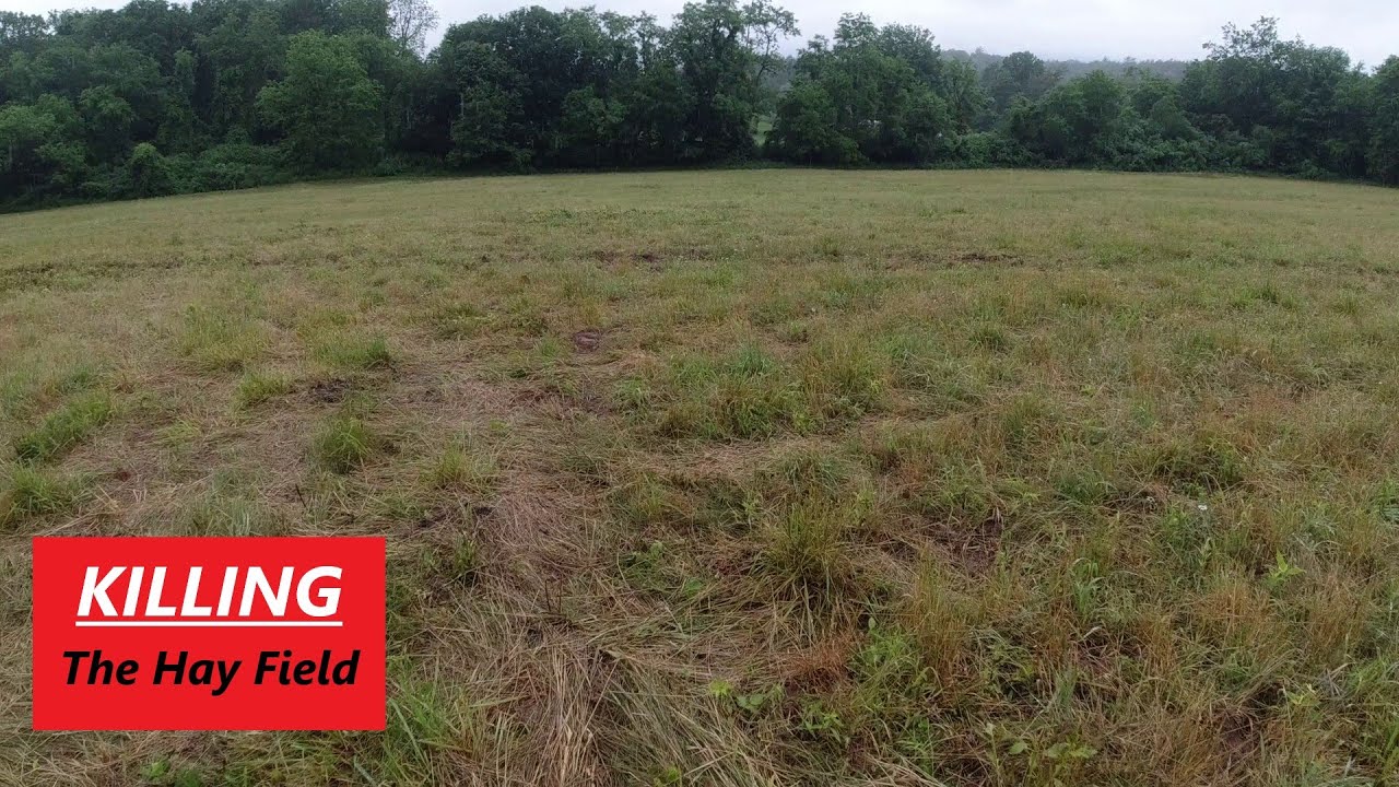 One Big Dead Hay Field - YouTube