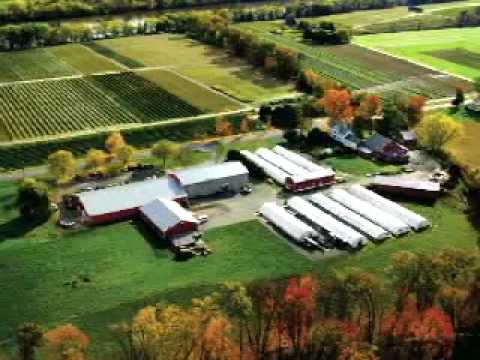About Nourse Farms- Berry Plant Nursery - YouTube