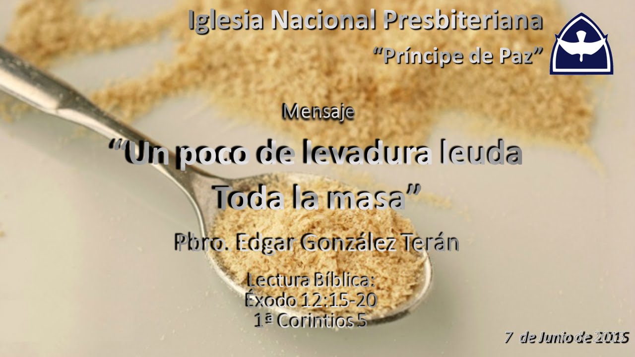 Un poco de levadura leuda toda la masa - YouTube