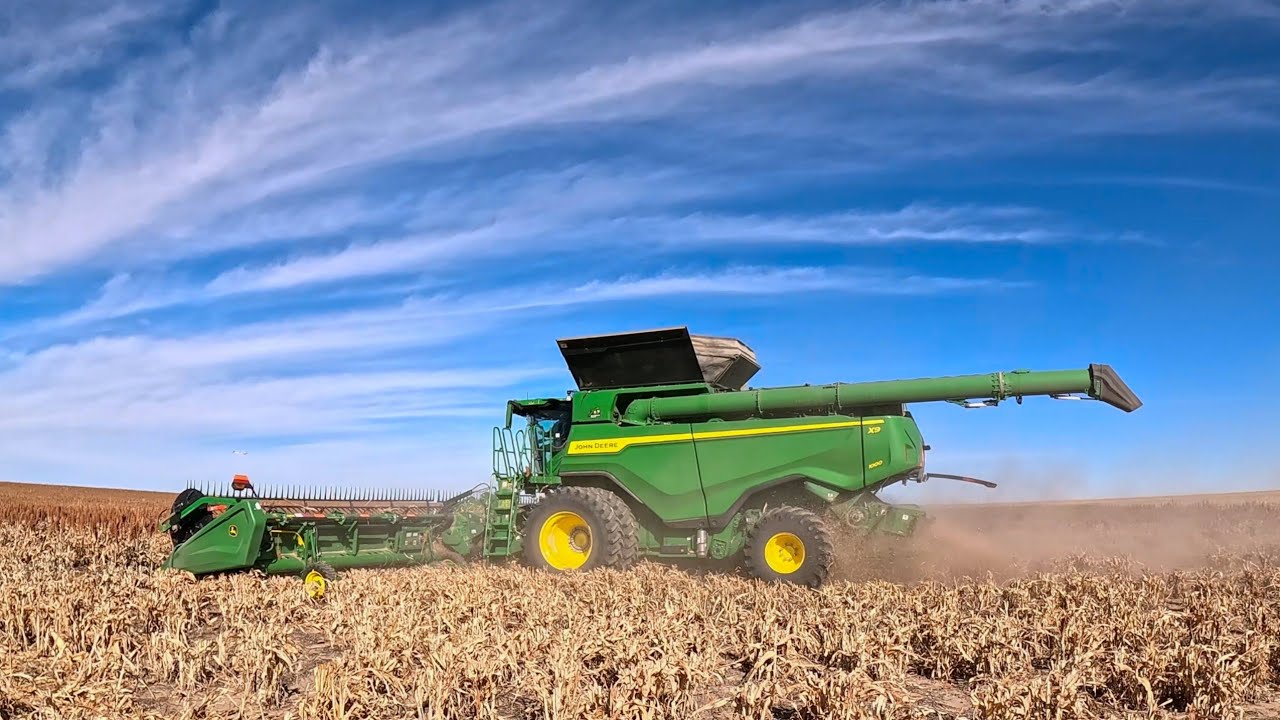 Harvesting milo in eastern Colorado with a John Deere X9 1000 combine ...