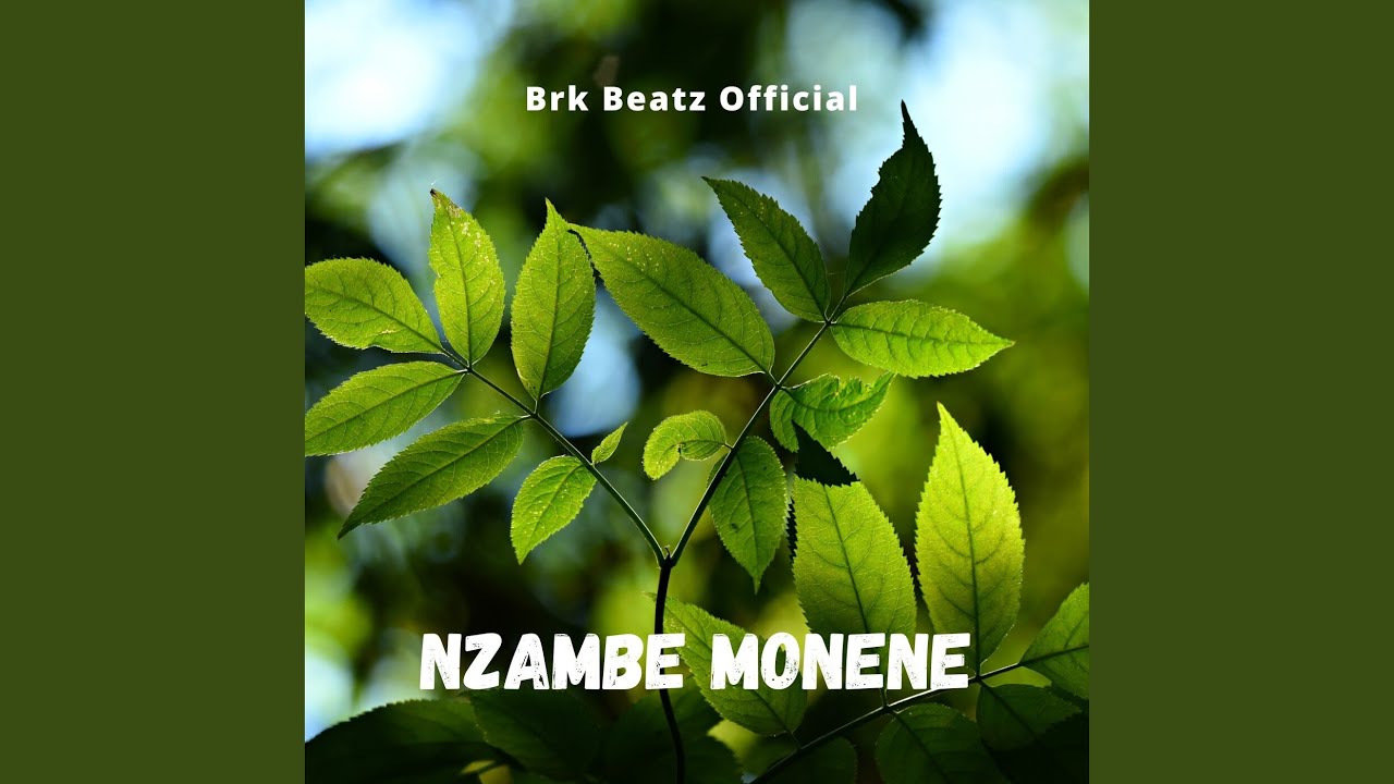 NZAMBE MONENE - YouTube
