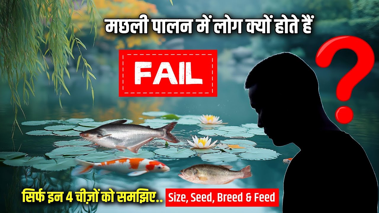 मछली पालन में लोग सफल क्यों नहीं होते || Why do many people fail in ...
