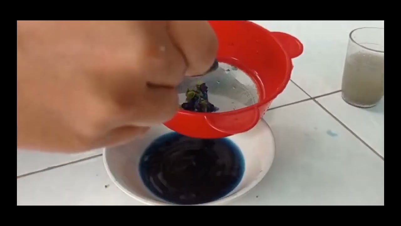 Praktikum Uji Asam dan Basa Menggunakan Indikator Alami Bunga Telang XI ...