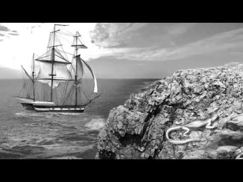 Darwin in the Process of Discovery - YouTube