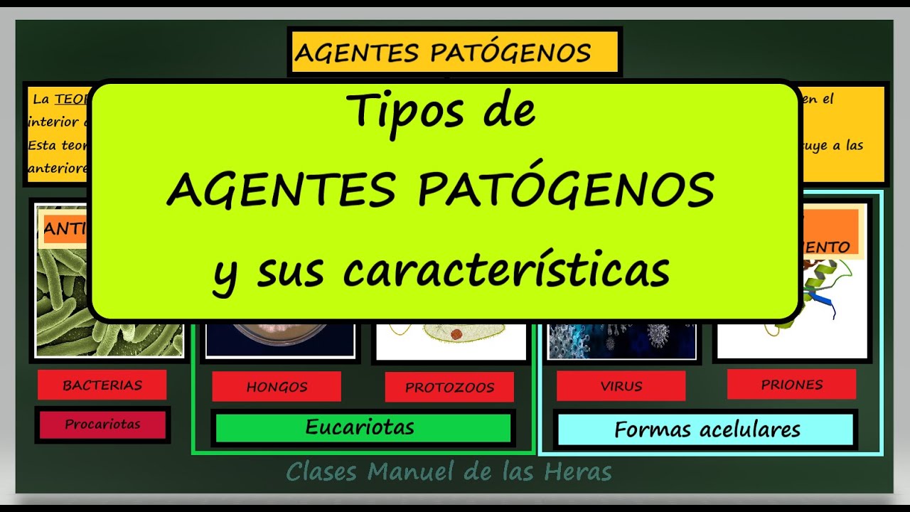 AGENTES PATÓGENOS. Bacterias, Virus, Hongos, Protozoos, Priones ...