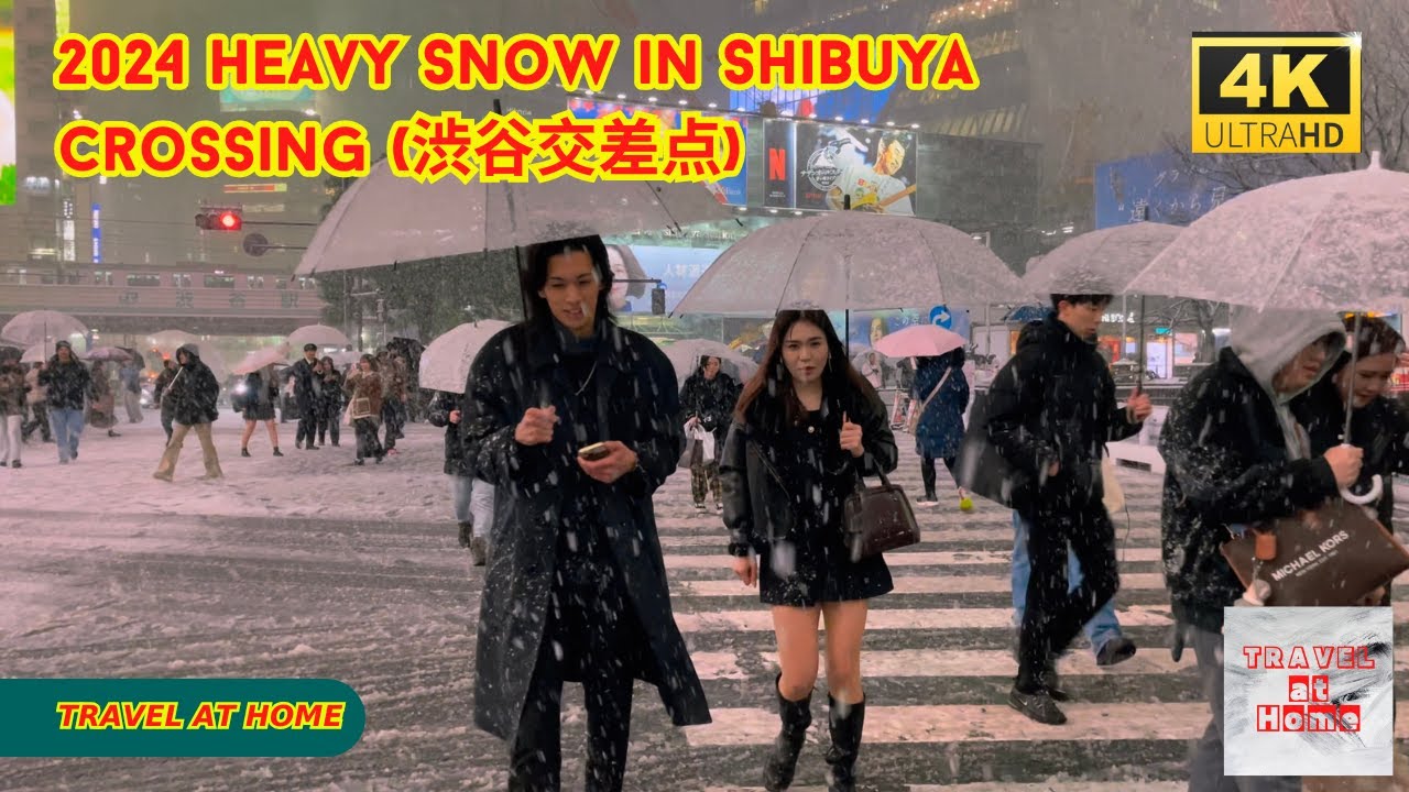 4k hdr japan travel 2024 l Heavy Snow Night in Shibuya Crossing (渋谷交差点 ...