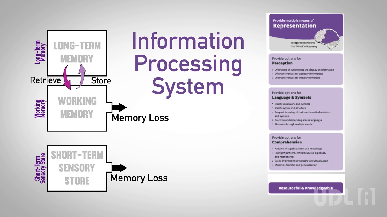 UDL A How to Read the UDL Guidelines - YouTube