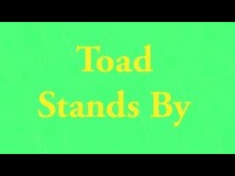 [OLD] Toad Stands By - YouTube