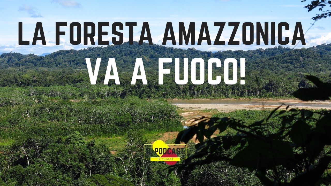 PERCHE' VA A FUOCO LA FORESTA AMAZZONICA? - YouTube