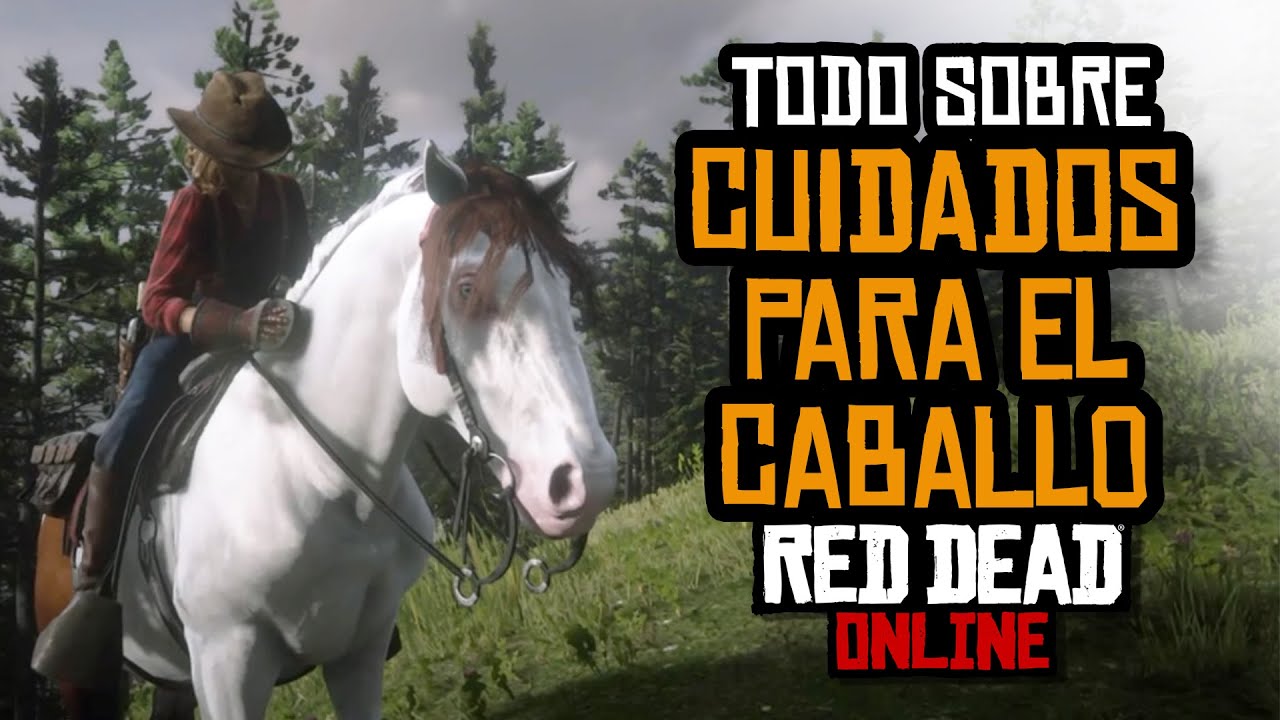Guía Completa sobre los Cuidados para el Caballo - Red Dead Online ...