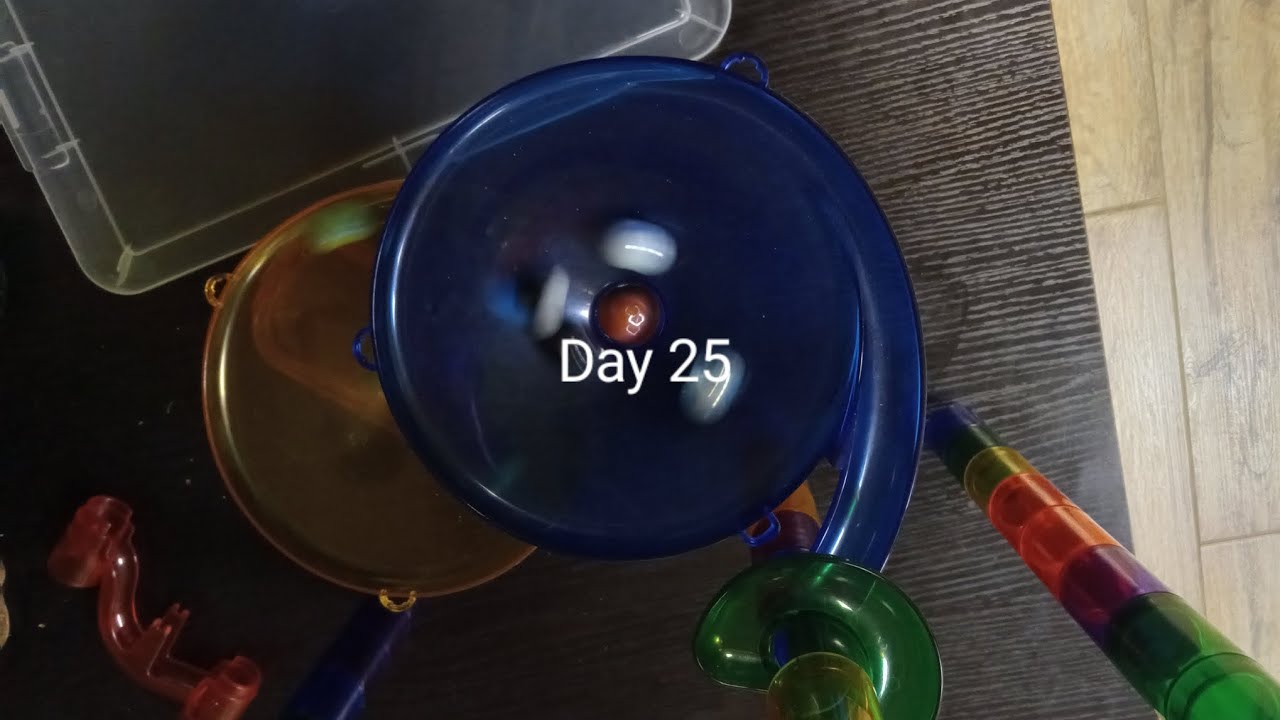 Marble Point Elimination Day 25 - YouTube