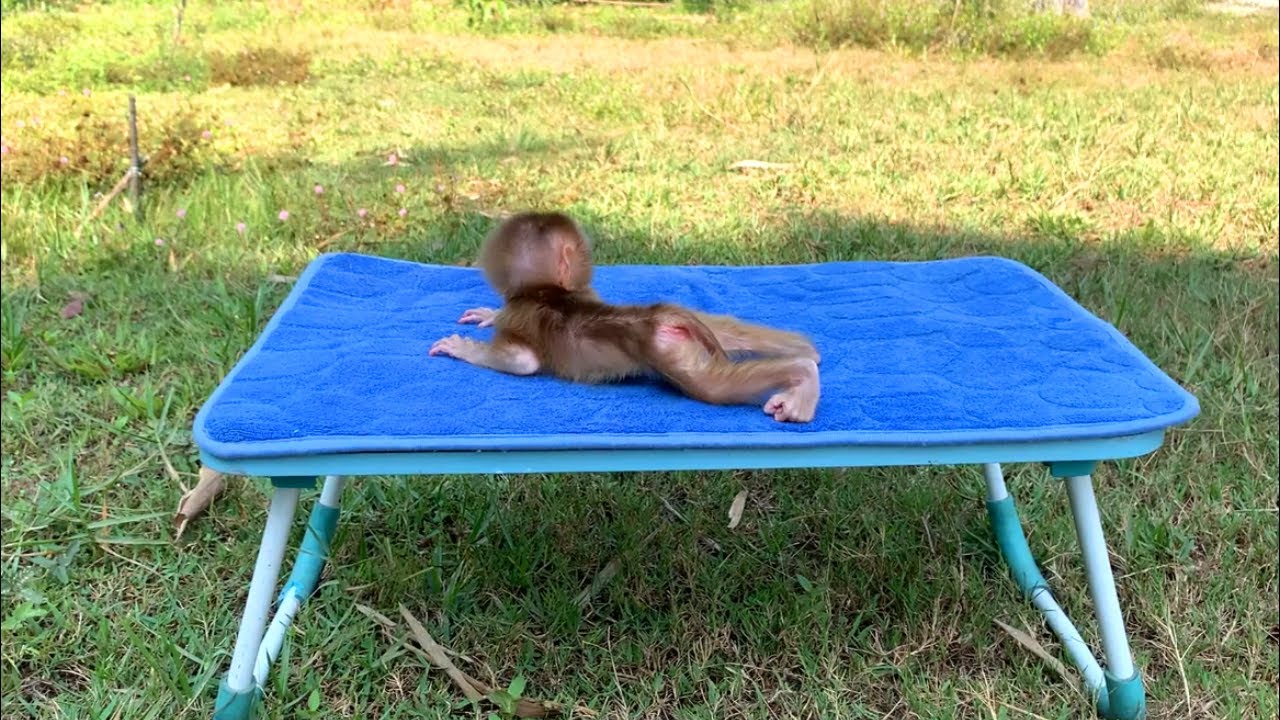 wait mommy eating - YouTube