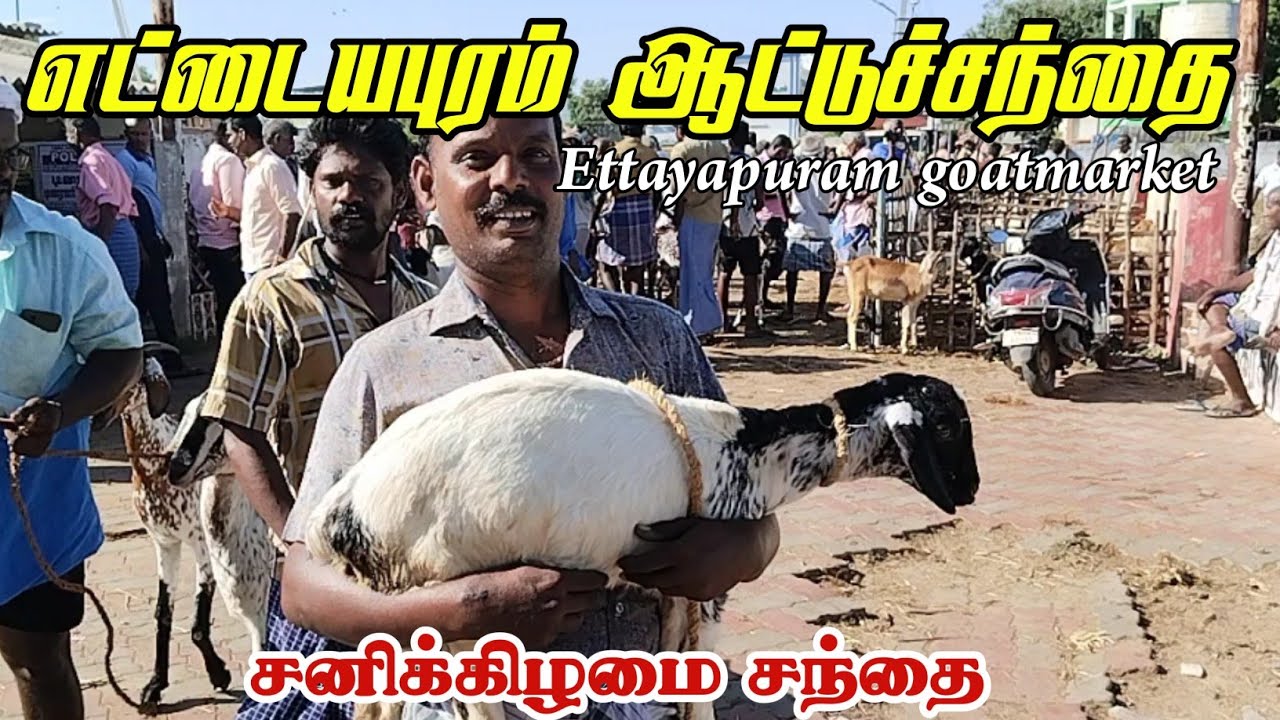 Ettayapuram goatmarket / Thoothukudi district / Tamil Nadu - YouTube