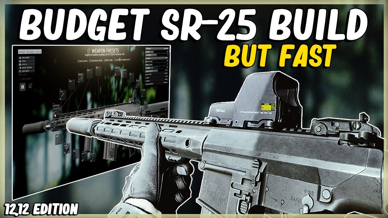 BUDGET SR-25 BUILD BUT FAST - EFT ESCAPE FROM TARKOV - HIGH ERGO LOW ...