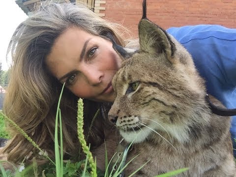 Lince ‘Alicia’, Rusia 2018
