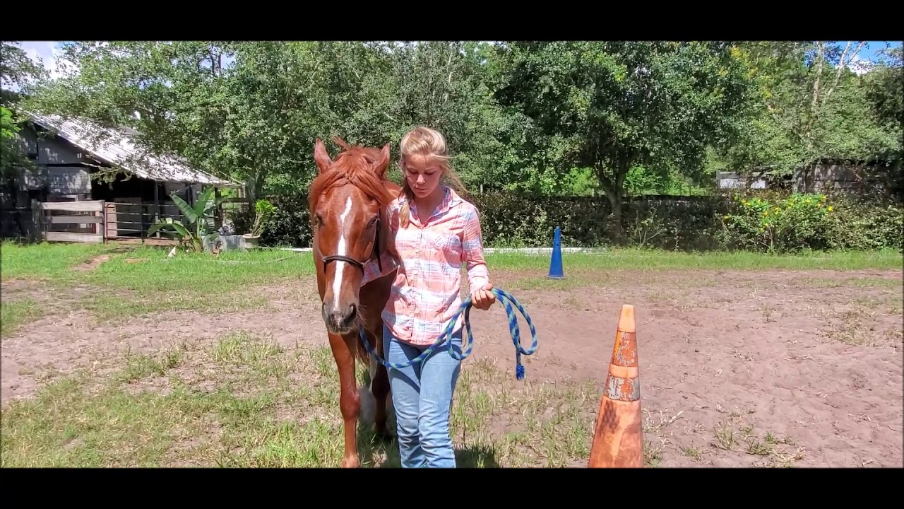 ACMC Showmanship: MY Wayward Son & Ellie Farrell - YouTube